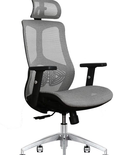 best ergonomic office chair with lumbar and neck support